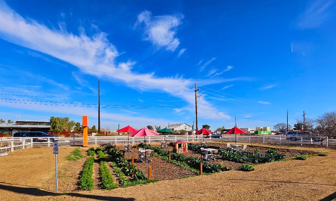 Amadio Ranch, A Destination Farm and City Center (Luxe Beat Magazine ...